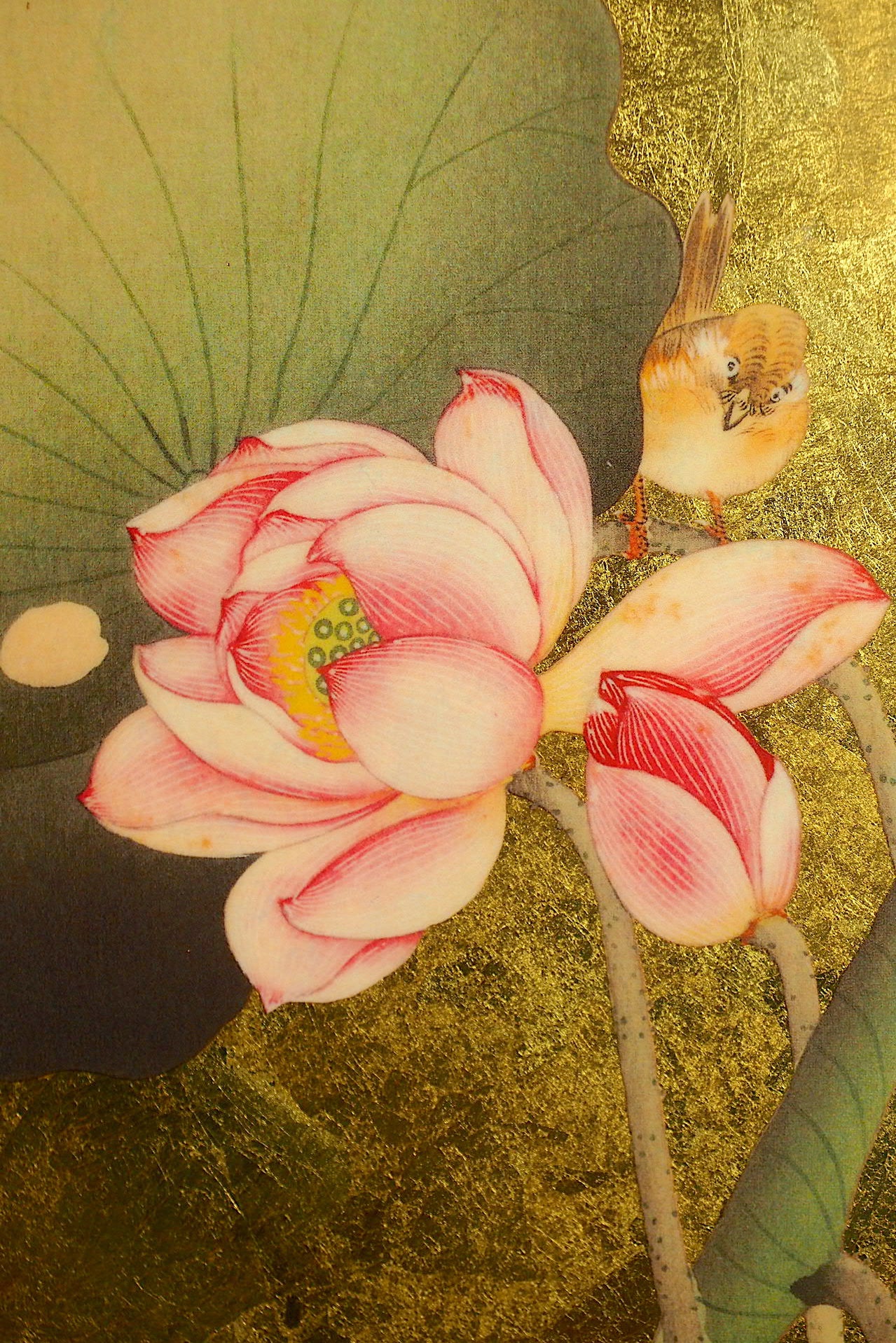 Ohara Koson - Lotus and Sparrow Gold Leaf Art Panel (27.3x52cm) — Wa-in ...